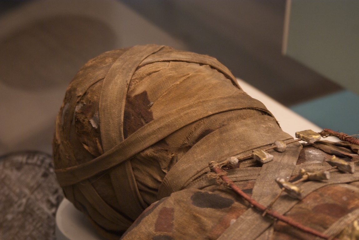 El culto a la momificación moderna: quién paga por permanecer intacto ...